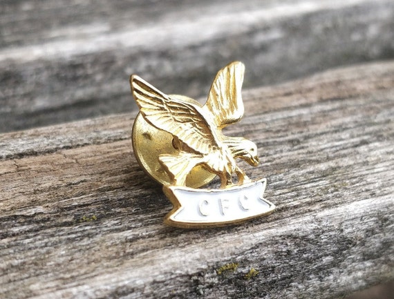 Vintage CFC Pin. Eagle Pin. Combined Federal Campaign… - Gem