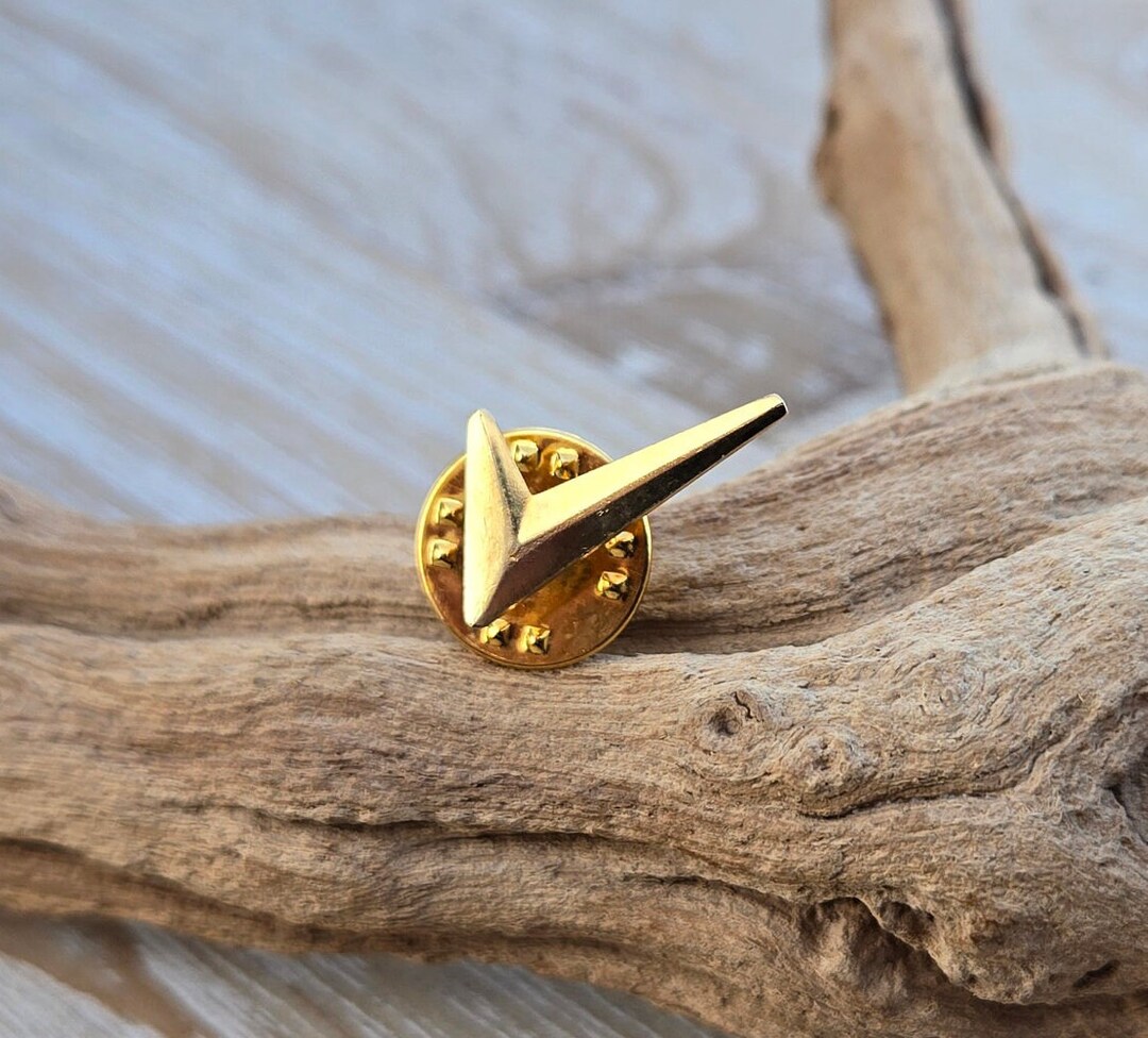Vintage Gold Check Mark Pin. Gift for Dad, Mom, Independence Day ...