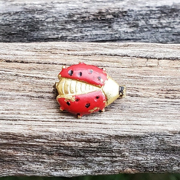 Ladybug Pin - Etsy