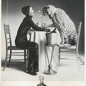 Raphaël, Raphael, Réplique, 'replica', 7.5 Ml., 0.25 Oz. Flacon, Parfum ...