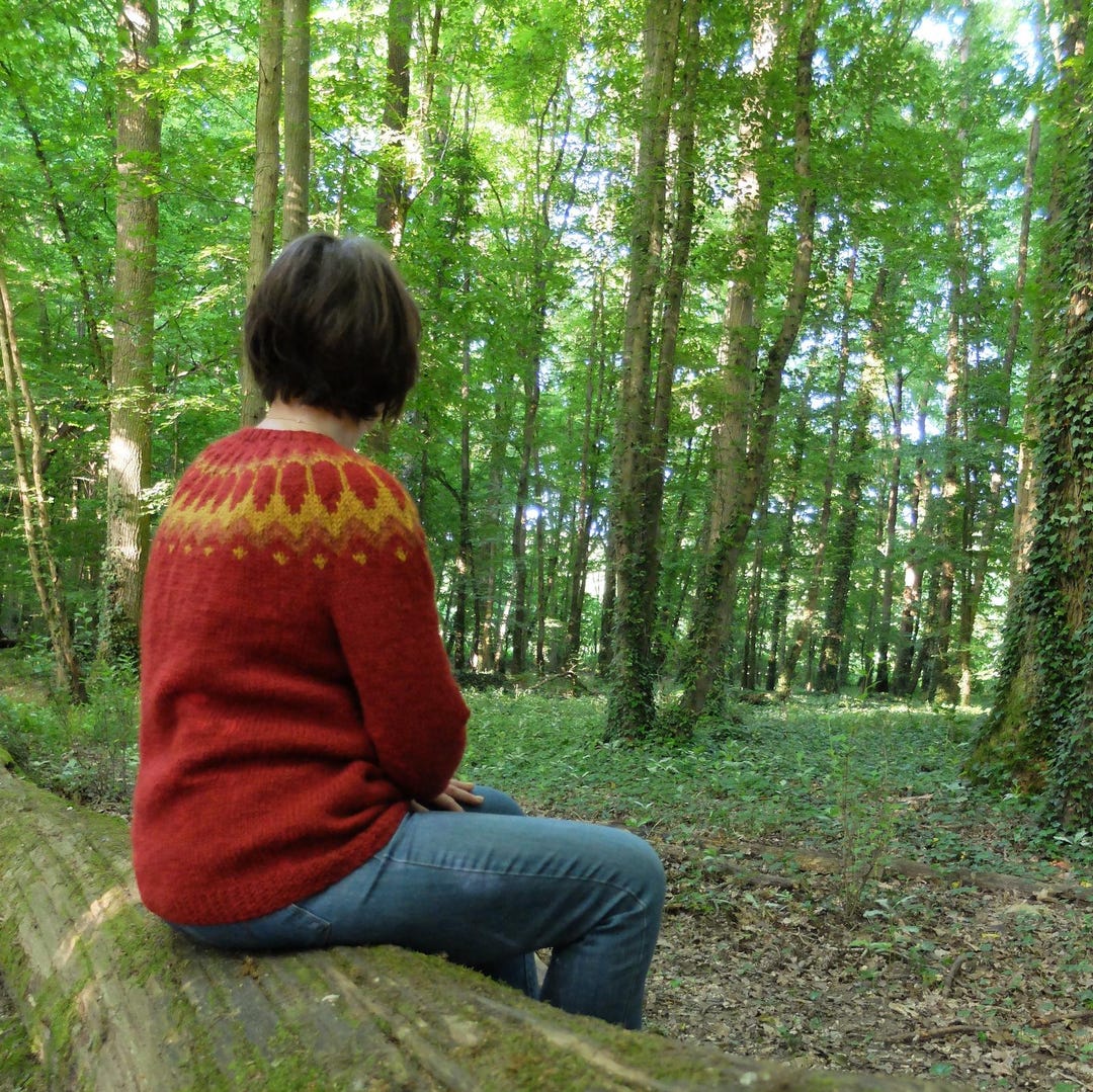 HEKLA Icelandic Sweater Knitting Pattern – Volcanic Jacquard – PDF Fr ...