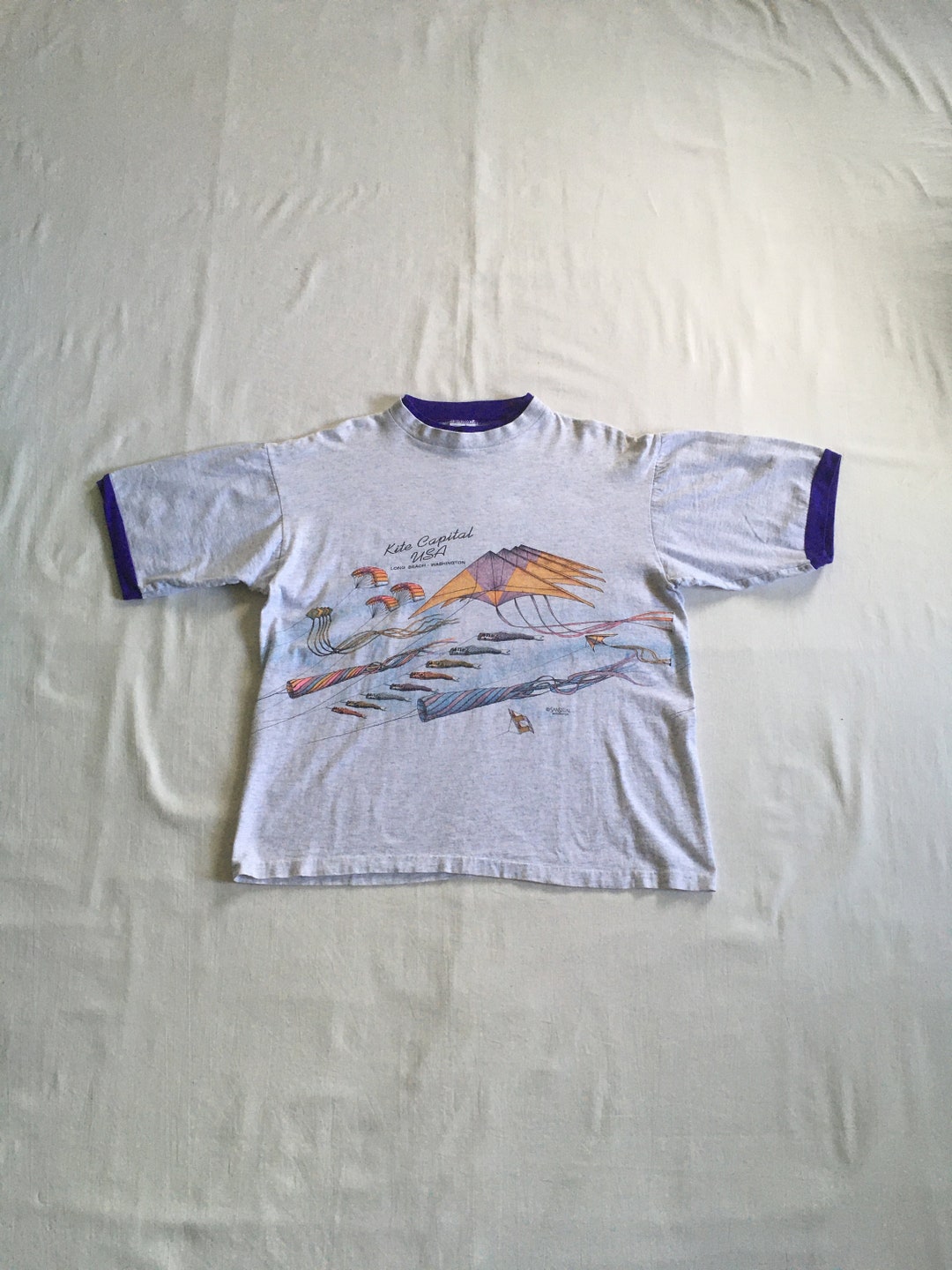 Vintage 90s Kite Capitol Usa Long Beach Washington San Segal Double ...