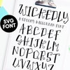 SVG Font INSTANT DOWNLOAD skyler Flourish Script Svg Font, Flourish ...
