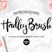 INSTANT .OTF DOWNLOAD "hadley Brush" Font File, .otf File, Script ...
