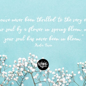 INSTANT .OTF DOWNLOAD "grayson James" Font File, .otf File, Script ...