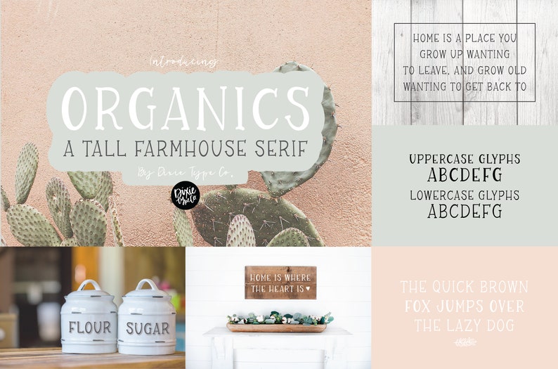 Desert Dreams Font Bundle .OTF Installable Fonts Cursive - Etsy