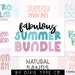 100 Fonts! ULTIMATE .OTF Font BUNDLE, Hand Lettered Font Bundle ...