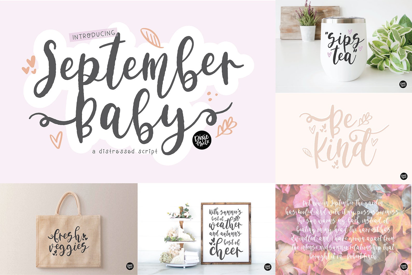 Autumn Font Bundle, .OTF Installable Fonts, Autumn Breeze, Cursive ...