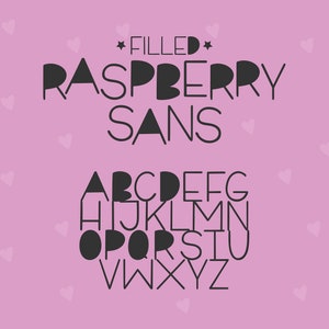 INSTANT .OTF DOWNLOAD "raspberry Sans" Installable Font File, .otf ...