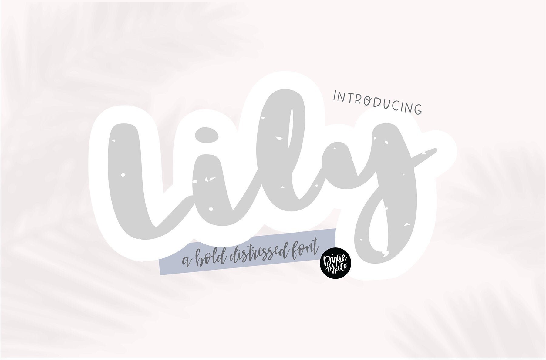 INSTANT .OTF DOWNLOAD lily Font File .otf File - Etsy