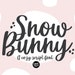 INSTANT .OTF DOWNLOAD snow Bunny Pretty Script Font, Christmas Hand ...