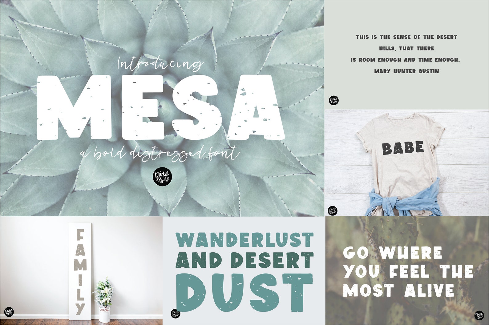 Desert Dreams Font Bundle .OTF Installable Fonts Cursive - Etsy