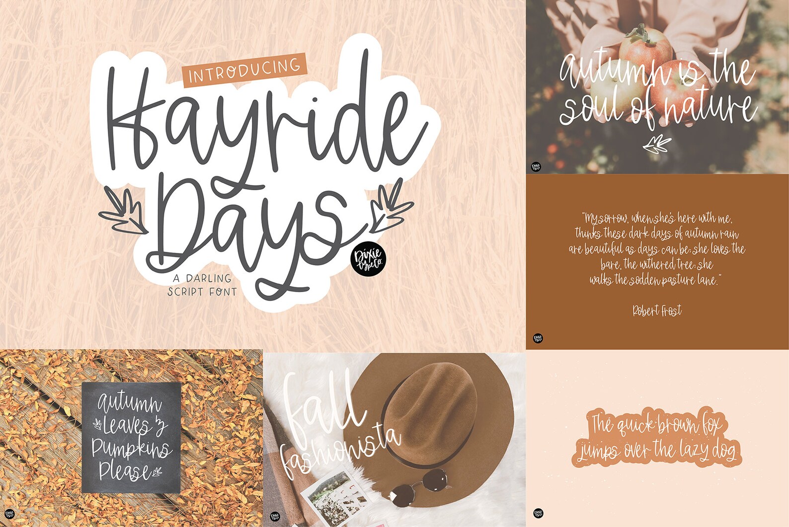 Autumn Font Bundle .OTF Installable Fonts Autumn Breeze - Etsy