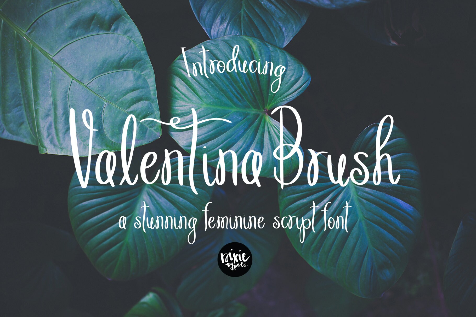 INSTANT .OTF DOWNLOAD "valentina Brush" Font File, .otf File, Script ...