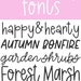 20 FONTS Handwriting Font Bundle Vol. 2, Font Bundle for Cricut ...