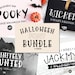 HALLOWEEN Font Bundle .OTF Font Font Bundle Halloween - Etsy