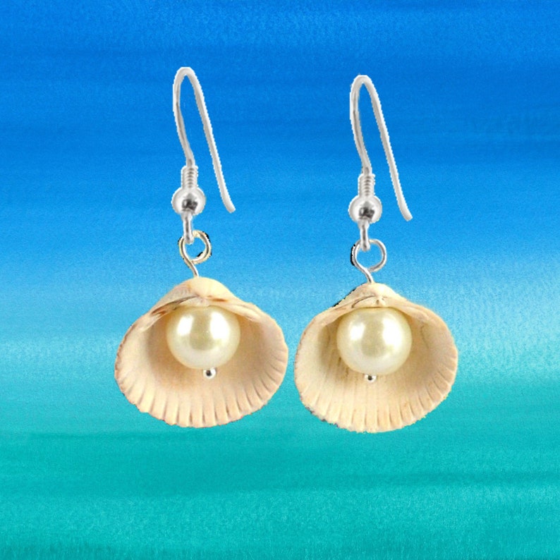 Real Shell Earrings Pearl Earrings / Mermaid Earrings / Seashell ...