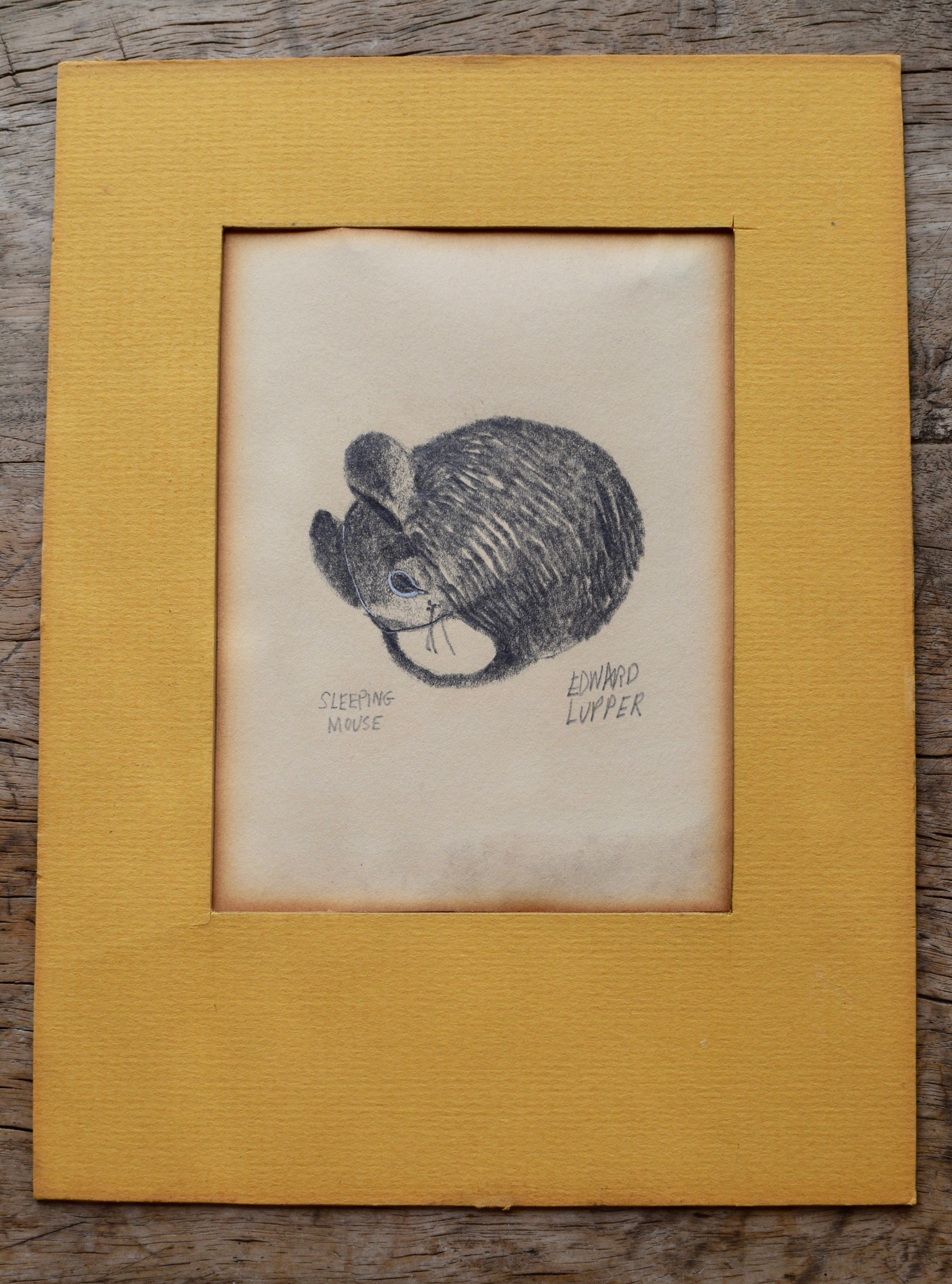 Edward Lupper Signed Drawing Sleeping Mouse, 1960s - Etsy
