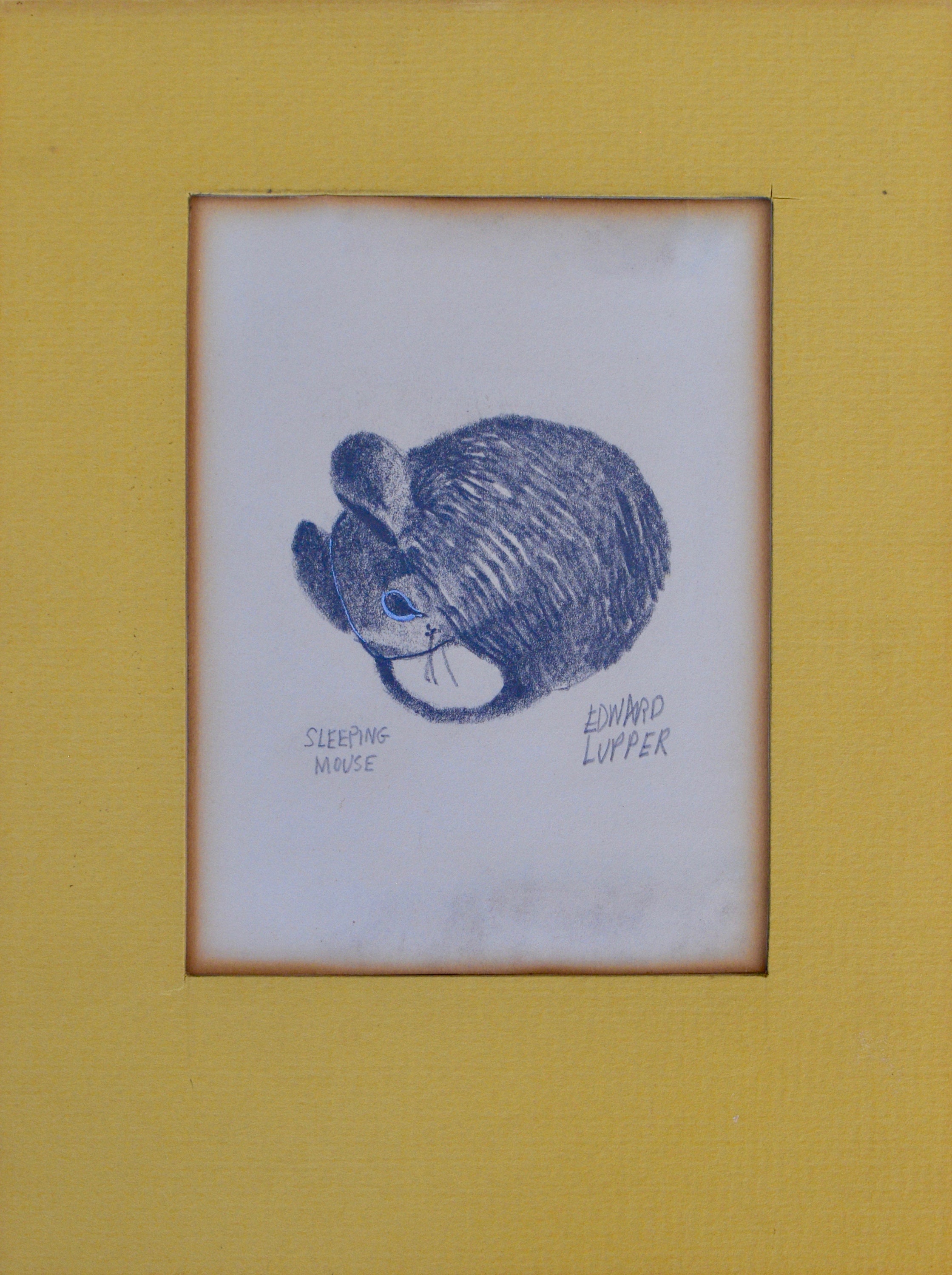 Sleeping Mouse Drawing