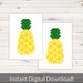 Summer Birthday Banner Pineapple Party Banner Pineapple Birthday ...
