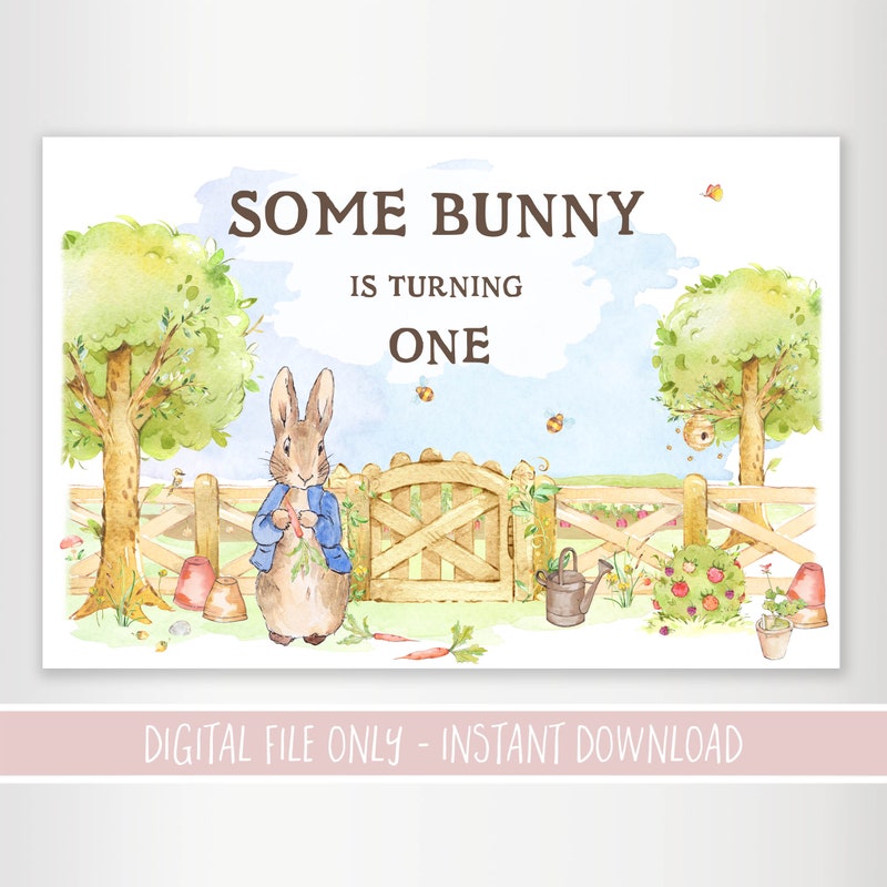 Peter Rabbit Party - Etsy