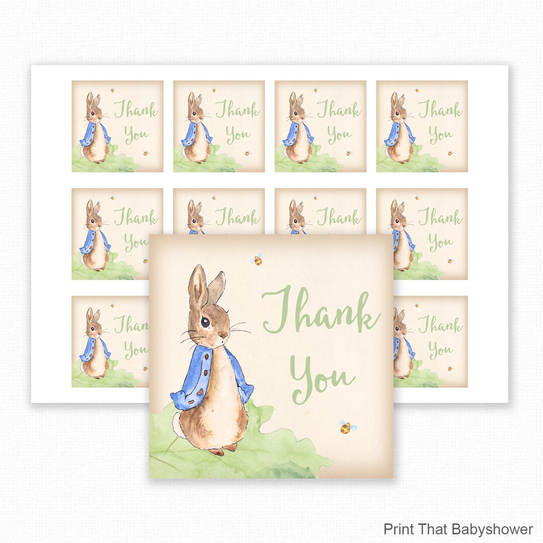 Peter Rabbit Baby Shower Printable Favor Tag - Peter Rabbit Favour Tag ...