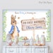 Peter Rabbit Birthday Backdrop First Birthday Backdrop Peter Rabbit ...