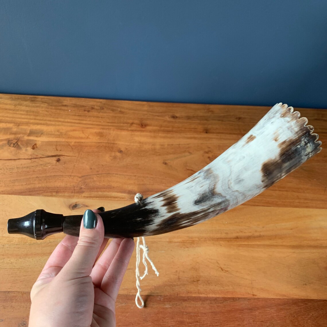 Bone Horn on String | Etsy