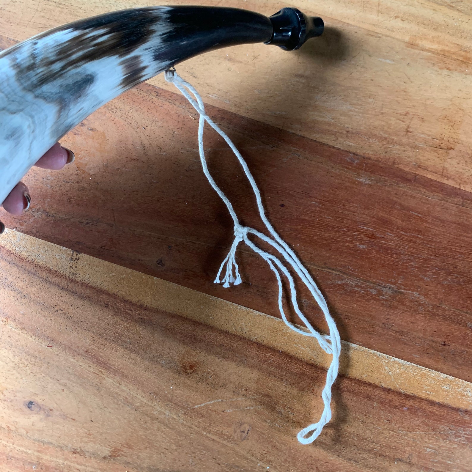 Bone Horn on String | Etsy