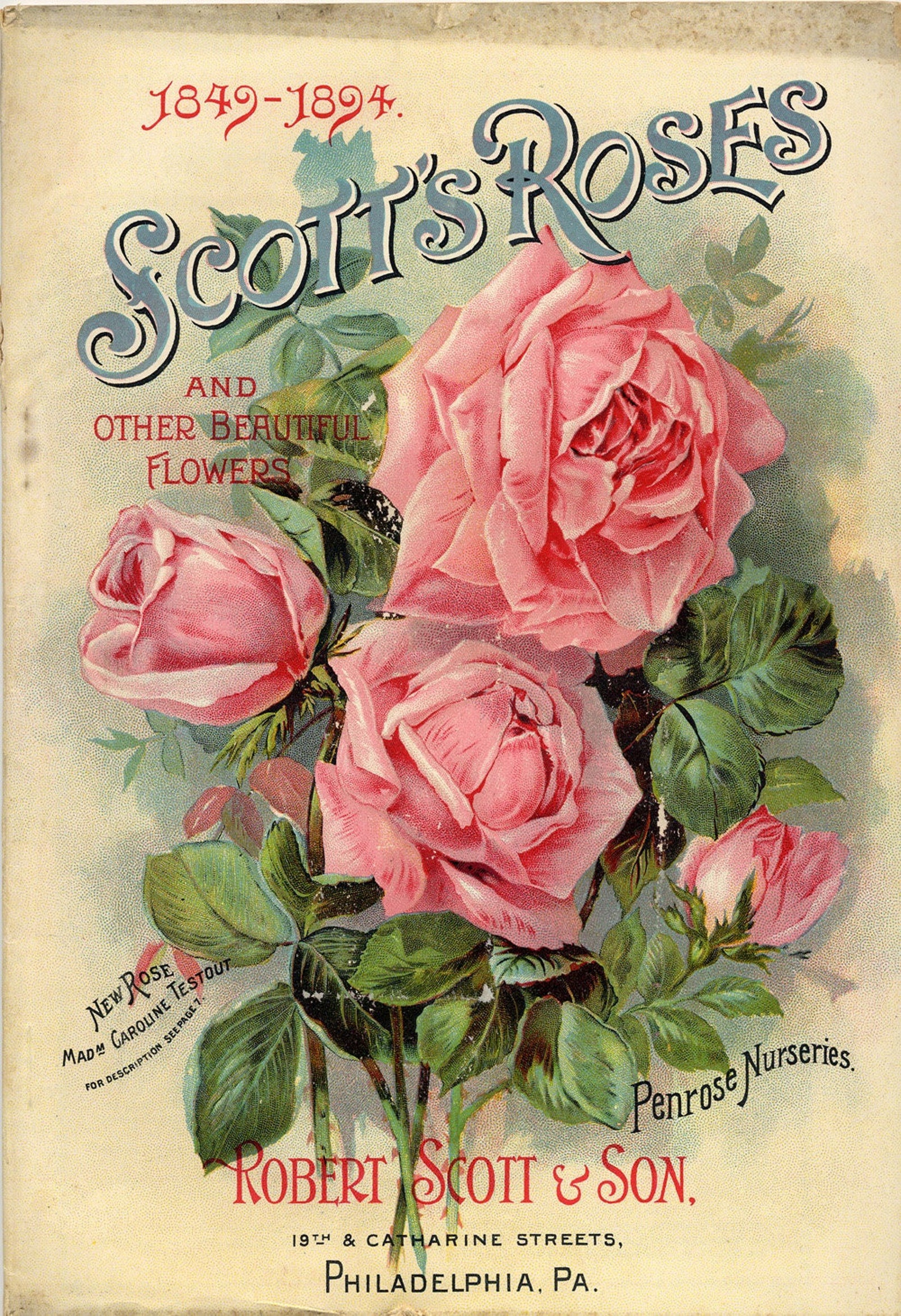 Beautiful Vintage Looking Roses Poster Ready for Framing Perfect for ...