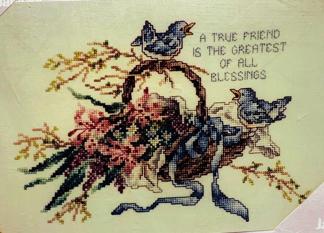 Vintage Janlynn Counted Cross Stitch Kit 80-282 A True Friend is the ...