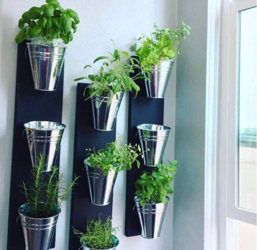 Indoor Wall Planter (one Row 3 Pots) - Etsy