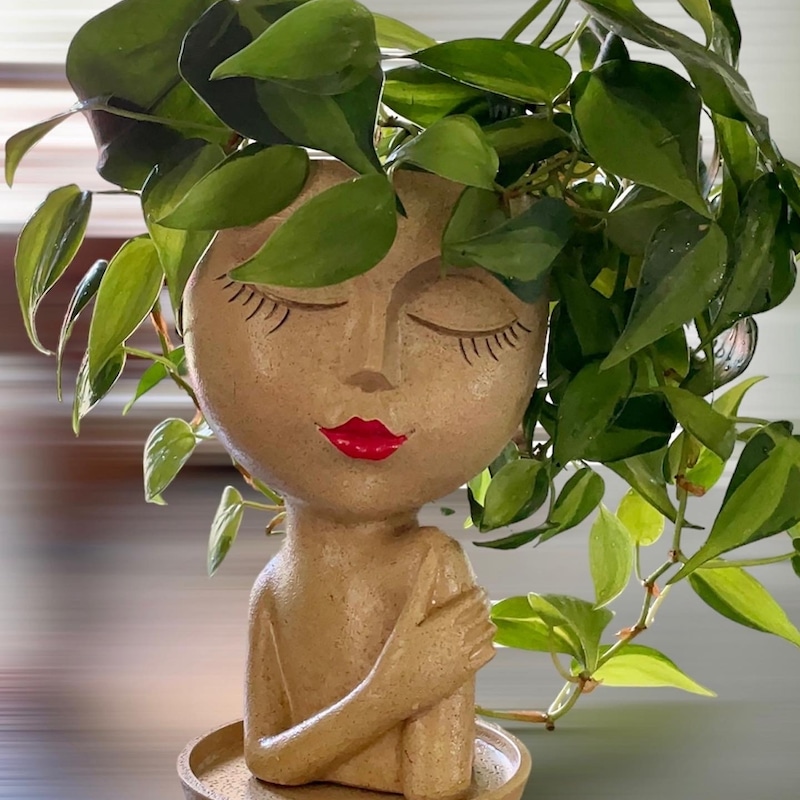 Face Planter - Etsy