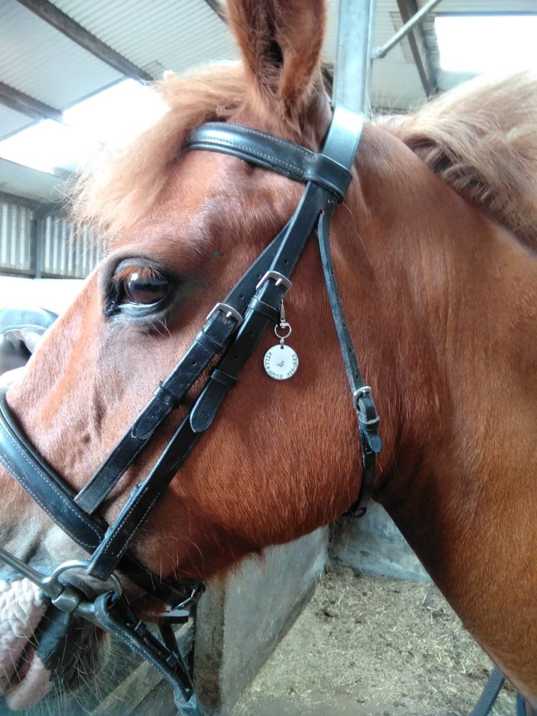 Bridle Tags. Head Collar Tags. Saddle Tags. Identity Tags. Horse Tags ...