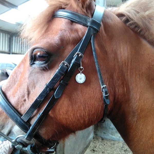 Bridle Tags - Etsy