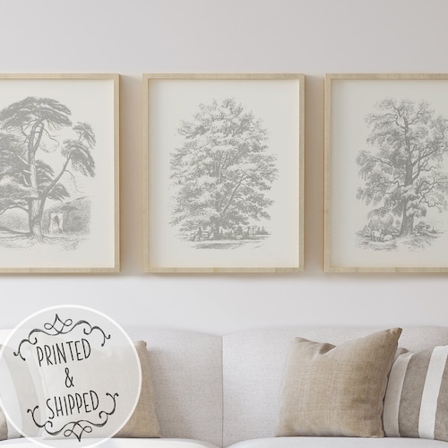 Tree Sketch Prints Tree Print Tree Botanical Art Plant - Etsy