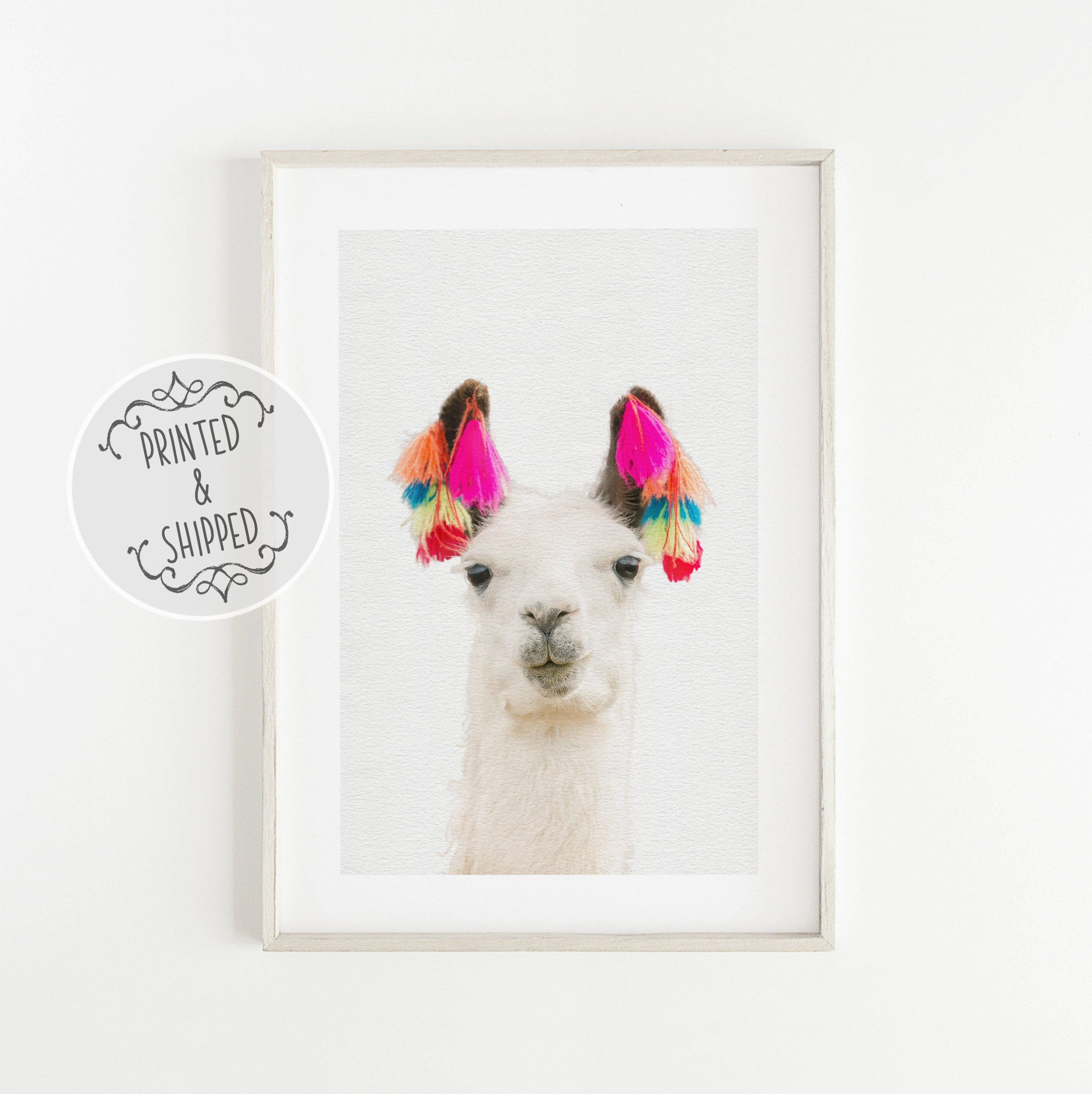 Llama Print Llama Art Alpaca Art Animal Print Alpaca - Etsy