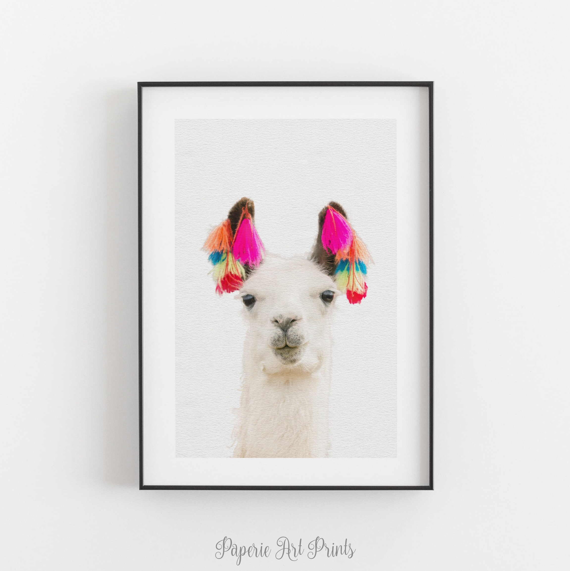 Llama Print Llama Art Alpaca Art Animal Print Alpaca | Etsy