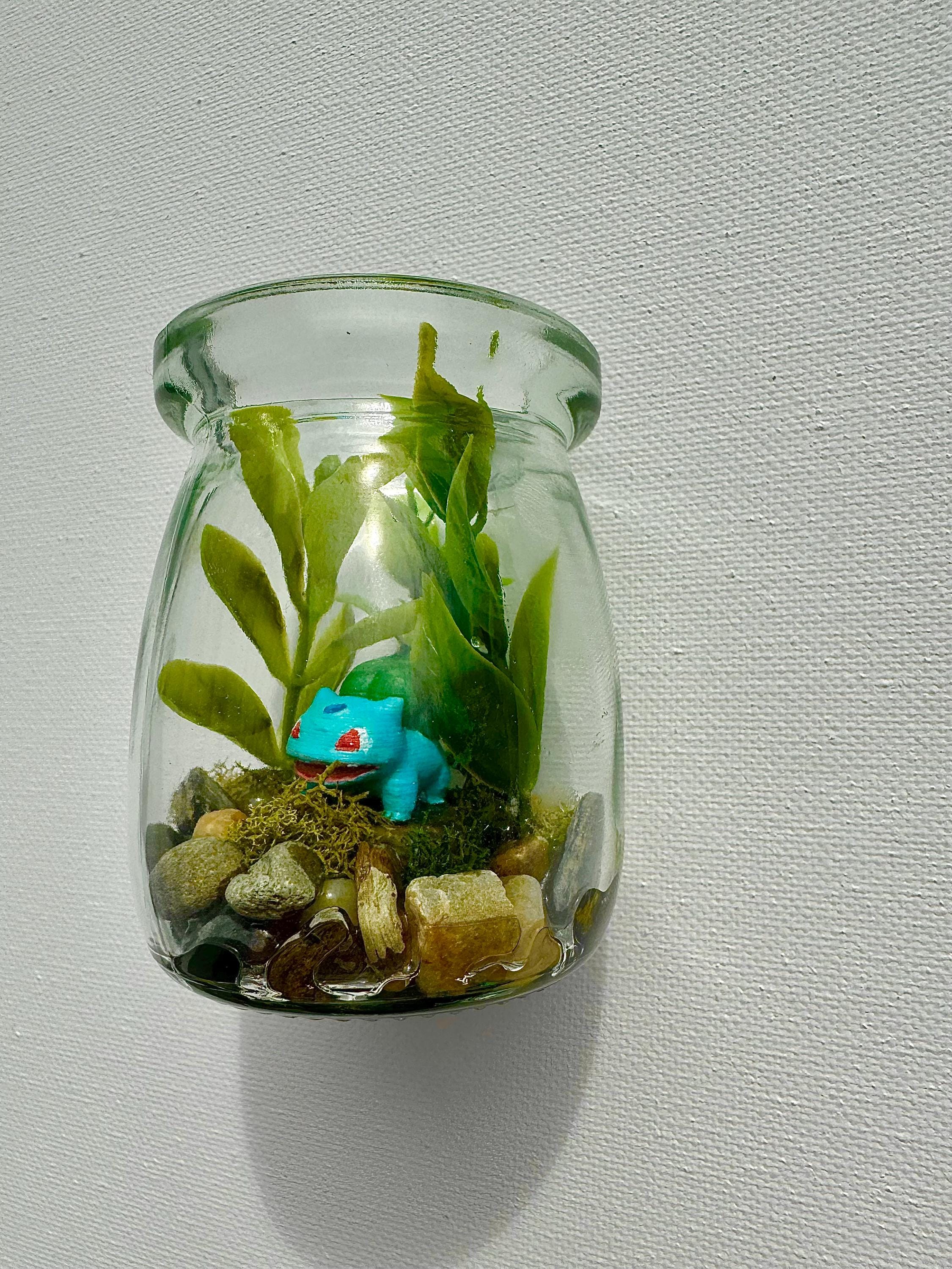 Pokémon Bulbasaur Ivysaur Venusaur Habitat Terrarium - Etsy