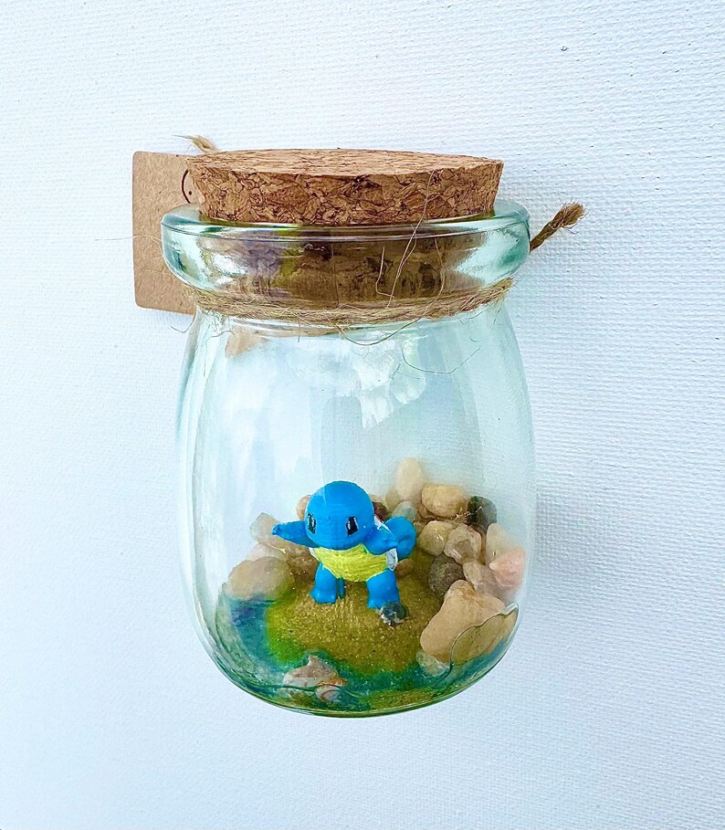 Pokémon Squirtle Habitat Terrarium - Etsy