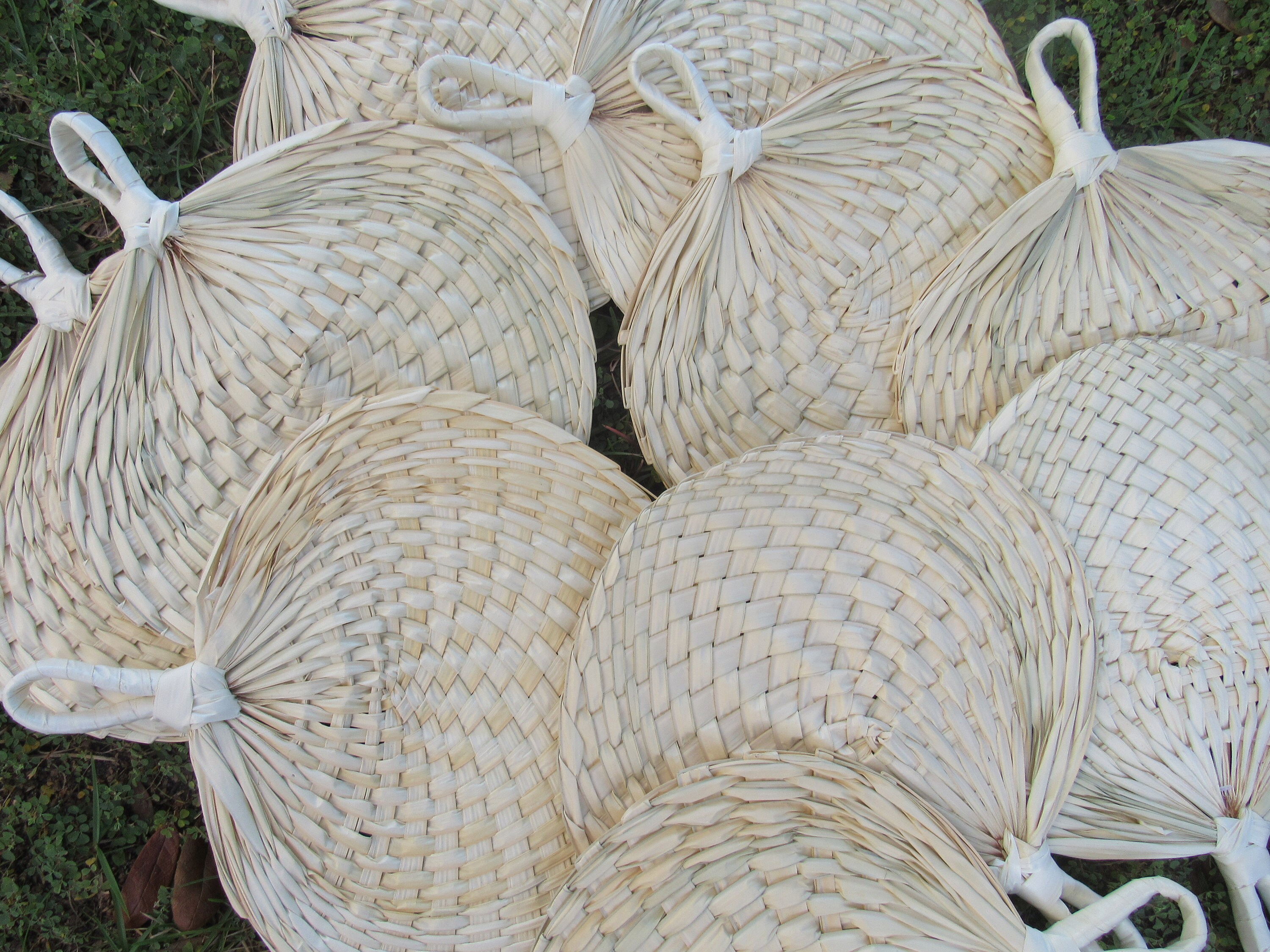 Large Palm Raffia Wedding Fans Raffia Fans Wedding Fan | Etsy