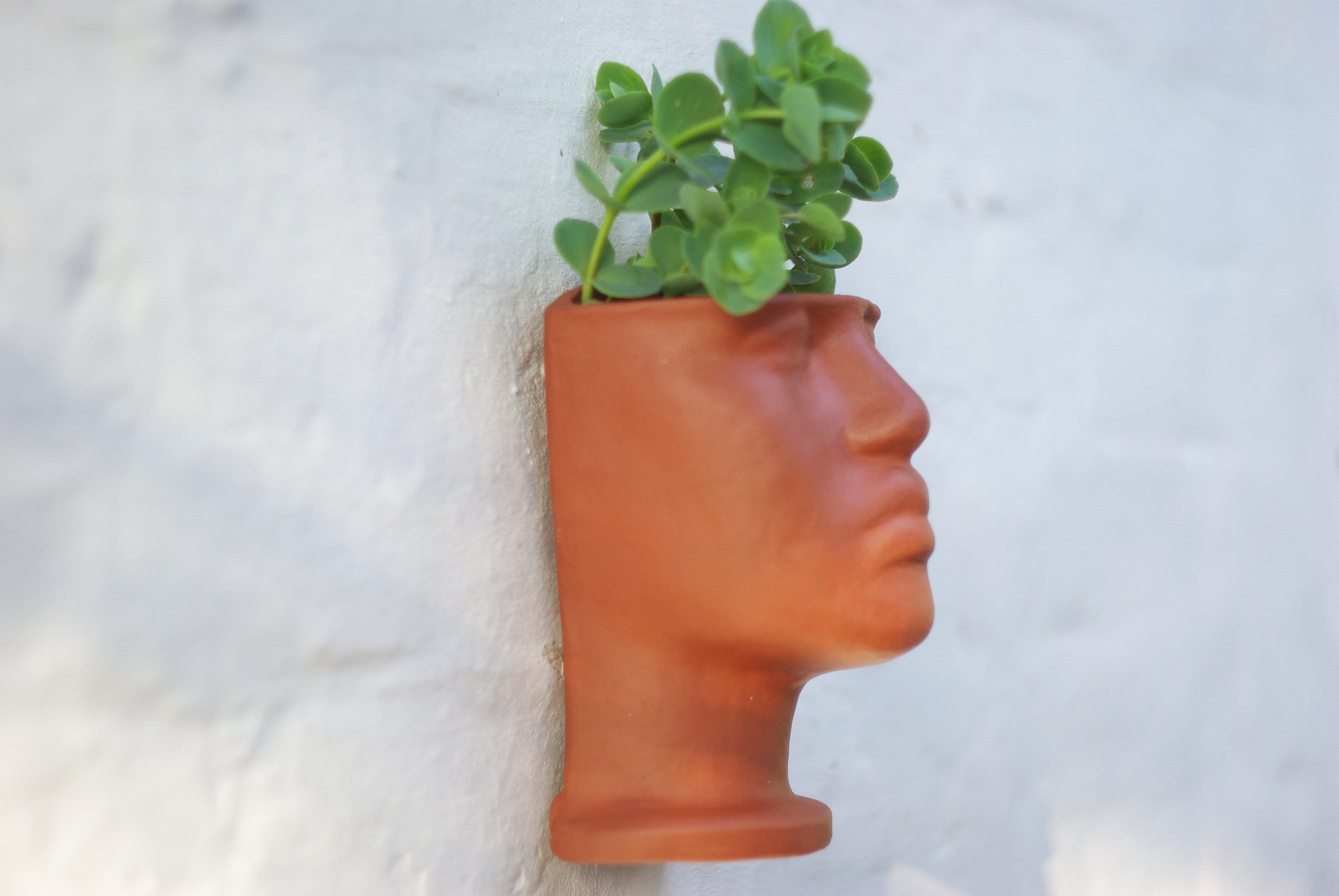Terracotta Wall Head Pot / Wall Planter / Woman Head Planter - Etsy UK