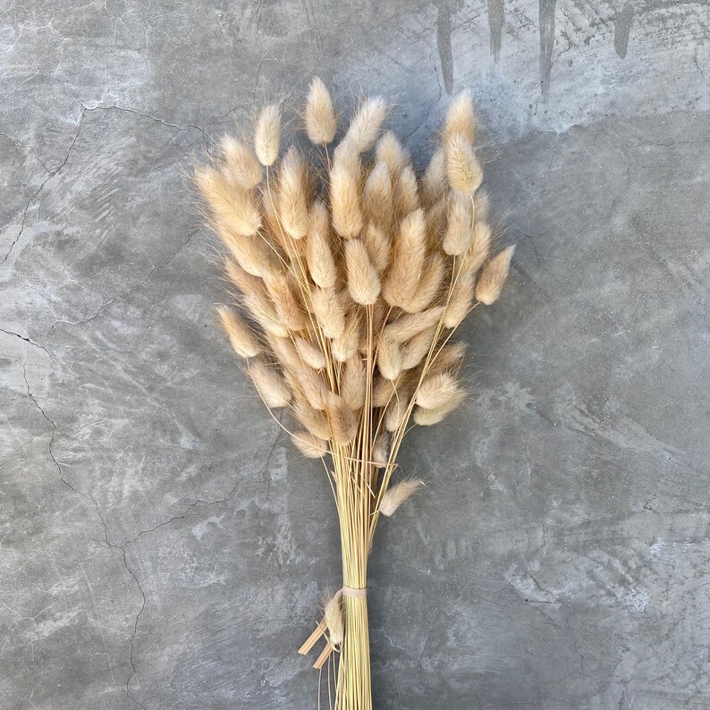 Natural Lagurus Flower Bush Dried Flowers Wedding Flowers | Etsy