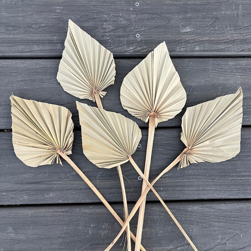 Palm Leaf Hand Fans - Etsy
