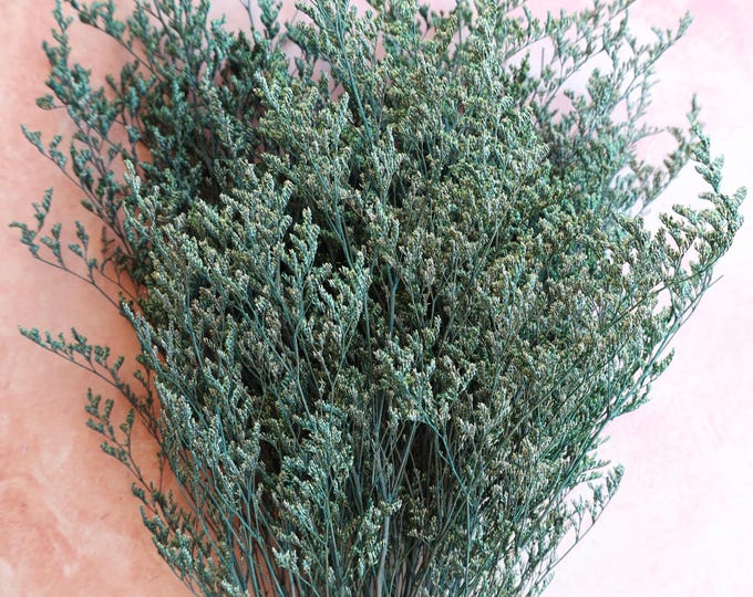 Preserved Caspia, Dried Flowers, Dried Limonium, Preserved Misty, Dried ...