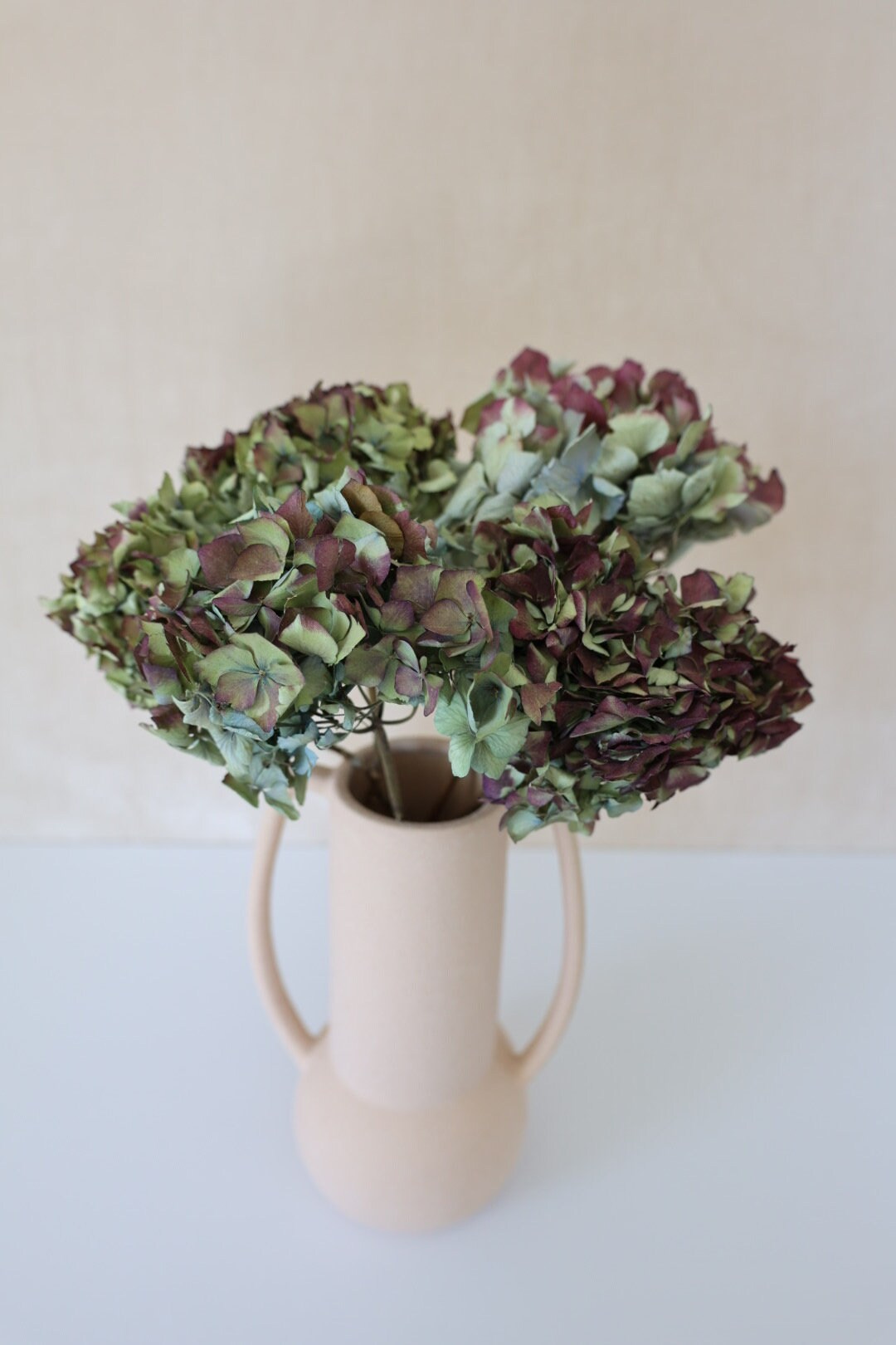 Hydrangea Flowers, Hydrangeas, Dried Flowers, Everlasting Flowers, Home ...