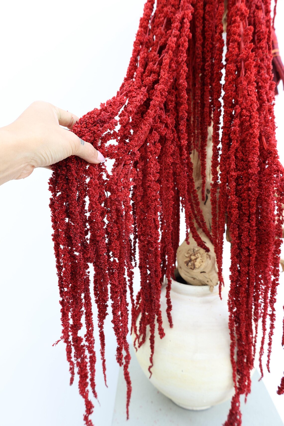 Deep Red Amaranthus Hanging Preserved - Etsy