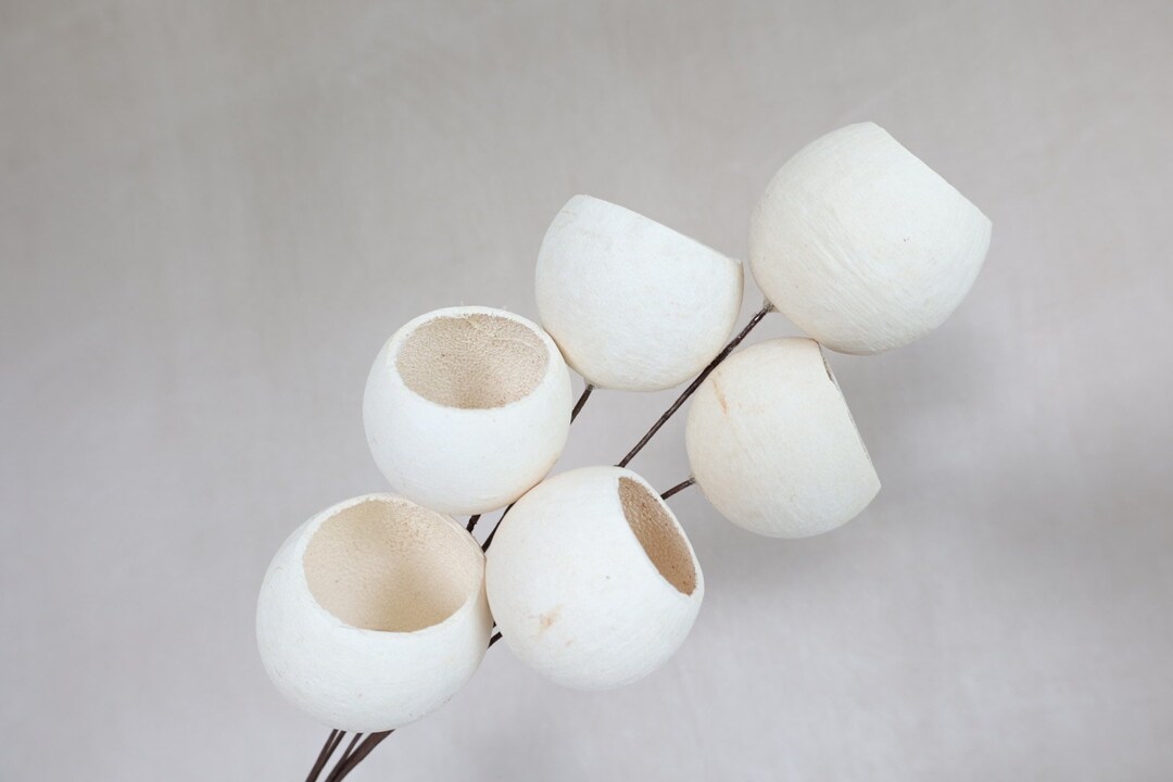 Bell Cups, Dried Flowers, Wedding Flowers, Bleached Bell Cups, Home ...