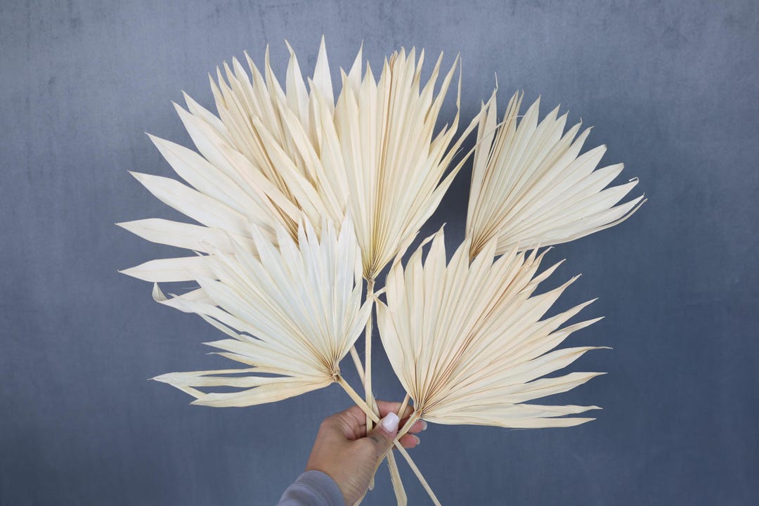 Palm Leaves, Dried Flowers, Sun Palm Leaves, Wedding Flowers, Home Decor, Dried Sun Palm Leaf ...