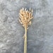 Natural Lagurus Flower Bush Dried Flowers Wedding Flowers - Etsy